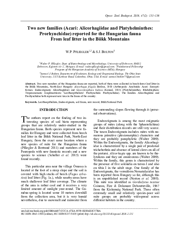 (PDF) Two new families (Acari: Alicorhagiidae and Platyhelminthes ... (PDF) Two new families (Acari: Alicorhagiidae and Platyhelminthes ...