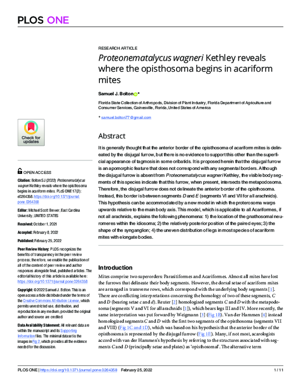 (PDF) Proteonematalycus wagneri Kethley reveals where the opisthosoma ...