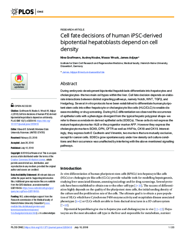 (PDF) Cell fate decisions of human iPSC-derived bipotential ...