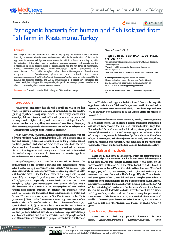 (PDF) Pathogenic Bacteria for Human and Fish Isolated from Fish Farm in ...