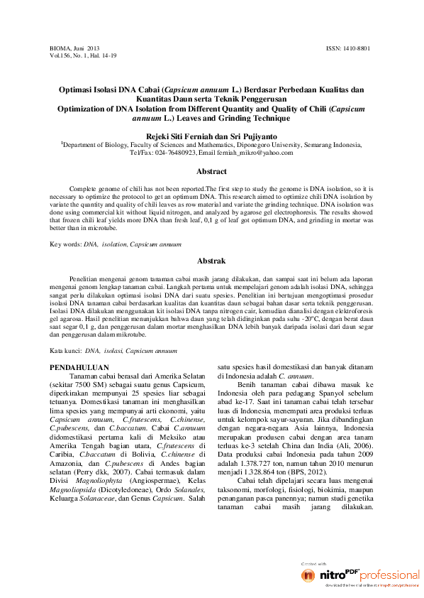 (PDF) Optimasi Isolasi DNA Cabai (Capsicum annuum L.) Berdasar ...