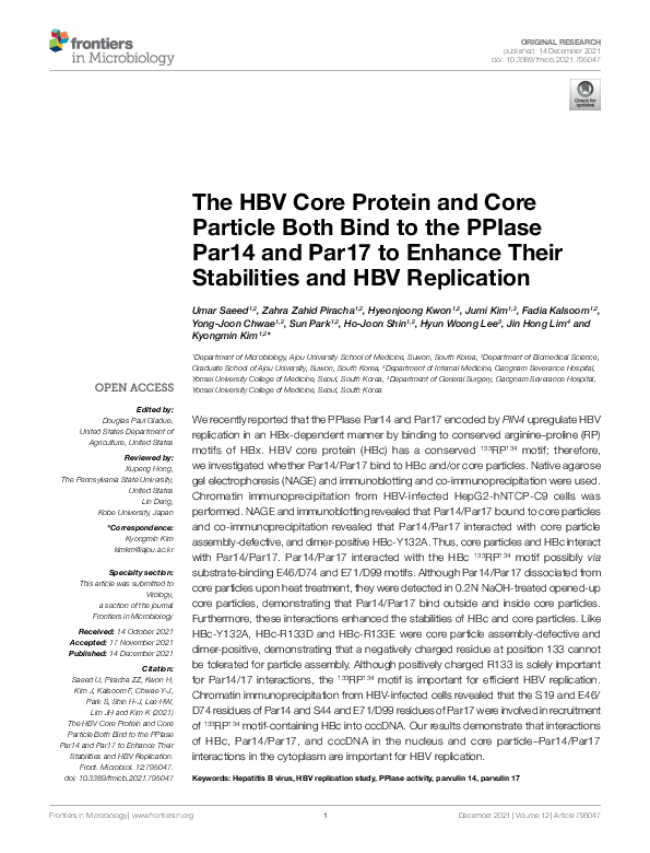 (PDF) The HBV Core Protein and Core Particle Both Bind to the PPiase ...