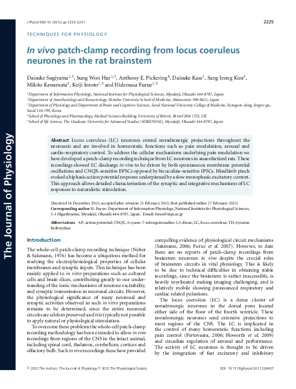 (PDF) In vivopatch-clamp recording from locus coeruleus neurones in the ...