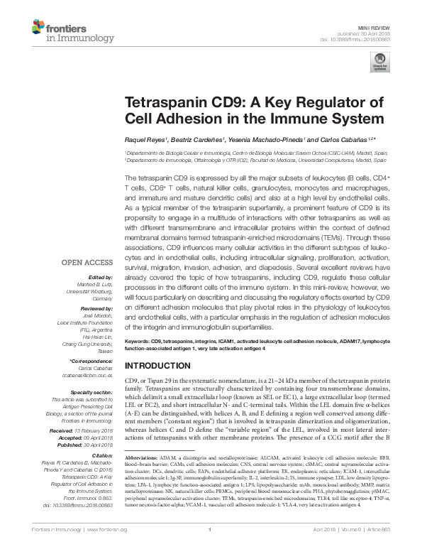 (PDF) Tetraspanin CD9: A Key Regulator of Cell Adhesion in the Immune System | Carlos Cabanas ...