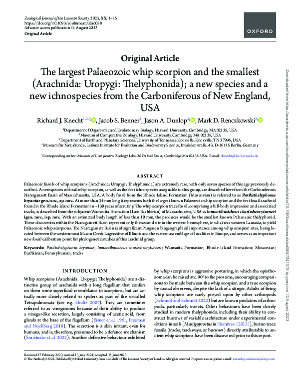 (PDF) The largest Palaeozoic whip scorpion and the smallest (Arachnida ...