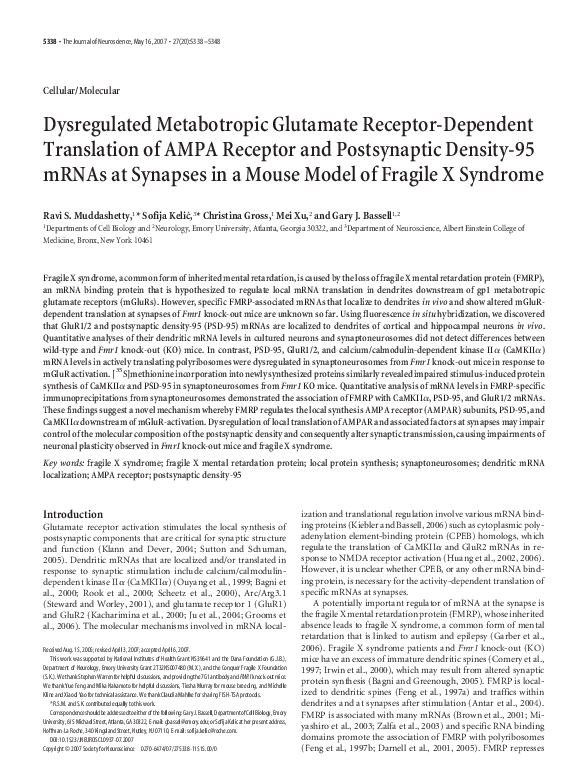 (PDF) Dysregulated Metabotropic Glutamate Receptor-Dependent ...