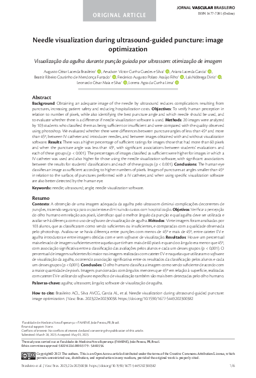 (PDF) Needle visualization during ultrasound-guided puncture: image ...