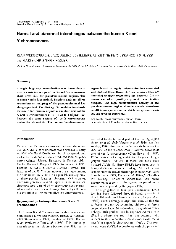 (PDF) Normal and abnormal interchanges between the human X and Y chromosomes