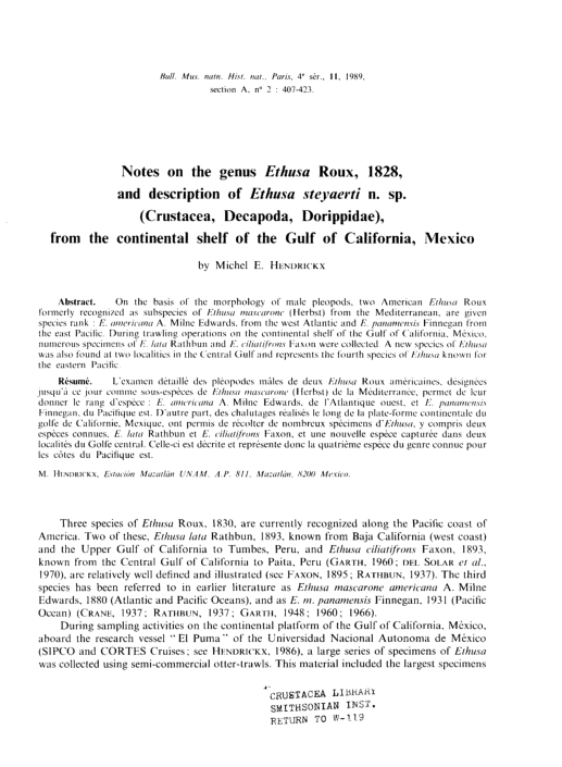 (PDF) Notes on the genus Ethusa Roux, 1828, and description of Ethusa ...