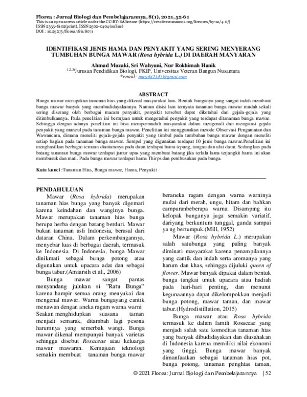 (PDF) IDENTIFIKASI JENIS HAMA DAN PENYAKIT YANG SERING MENYERANG ...