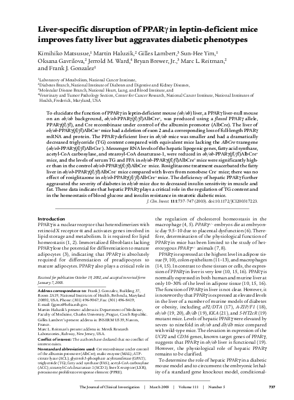 (PDF) Liver-specific disruption of PPARγ in leptin-deficient mice ...