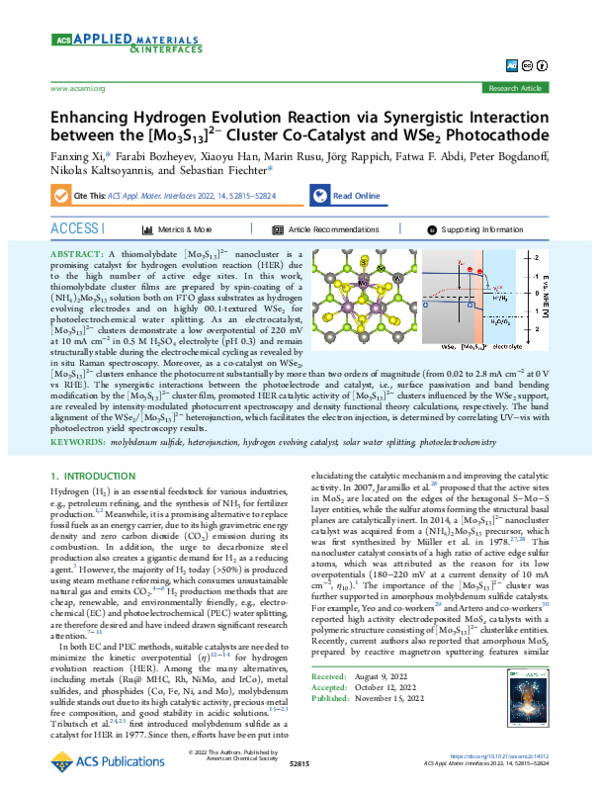 (PDF) Enhancing Hydrogen Evolution Reaction via Synergistic Interaction ...