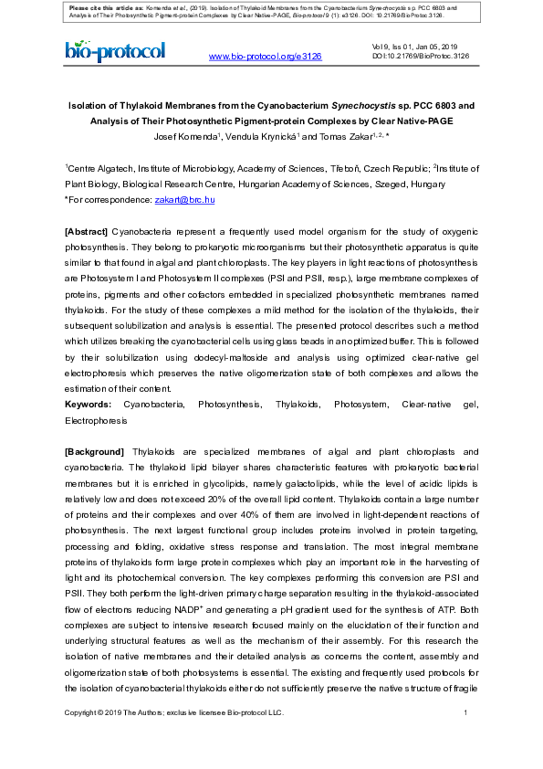 (PDF) Isolation of Thylakoid Membranes from the Cyanobacterium ...
