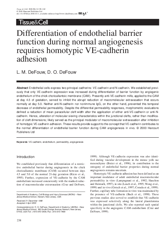(PDF) Differentiation of endothelial barrier function during normal ...
