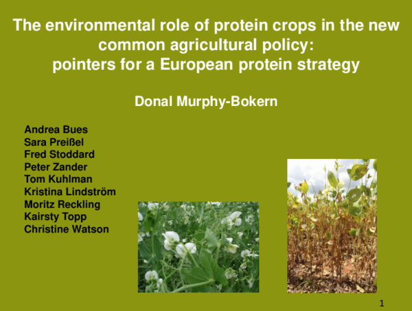 (PDF) The environmental role of protein crops in the new Common ...