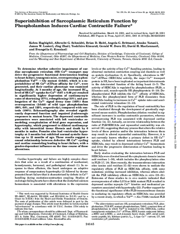 (PDF) Superinhibition of Sarcoplasmic Reticulum Function by ...