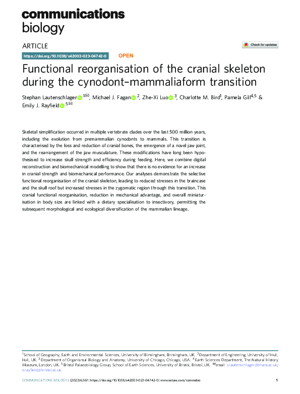 (PDF) Functional reorganisation of the cranial skeleton during the ...