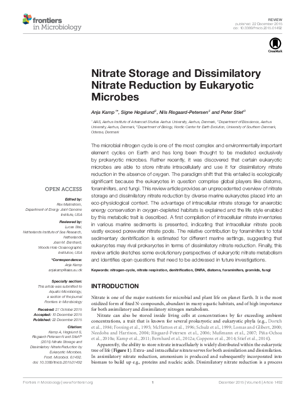 (PDF) Nitrate Storage and Dissimilatory Nitrate Reduction by Eukaryotic ...