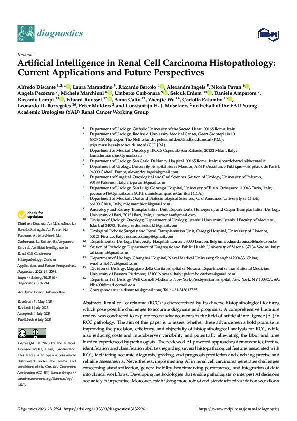 (PDF) Artificial Intelligence in Renal Cell Carcinoma Histopathology: Current Applications and ...