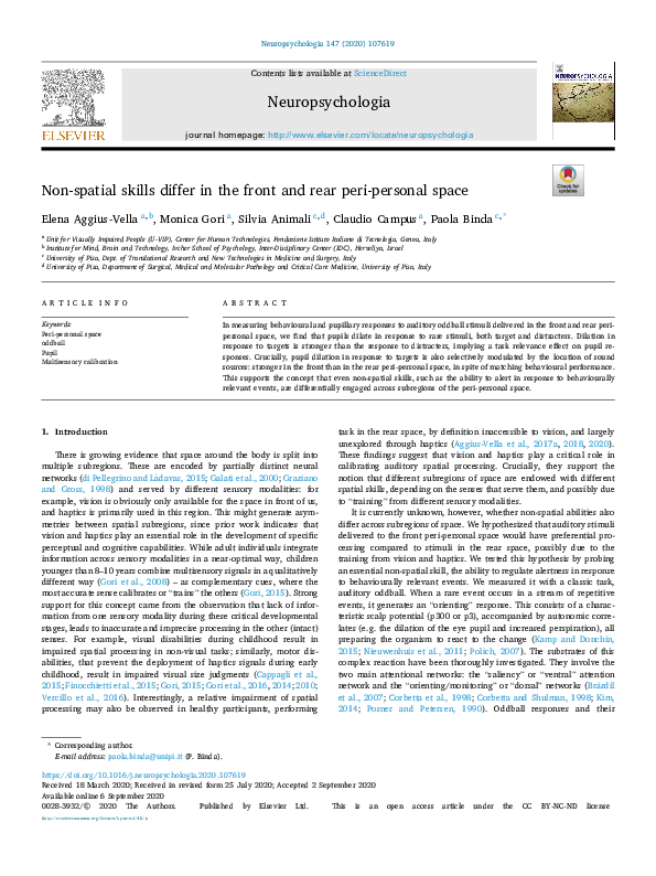 (PDF) Non-spatial skills differ in the front and rear peri-personal space