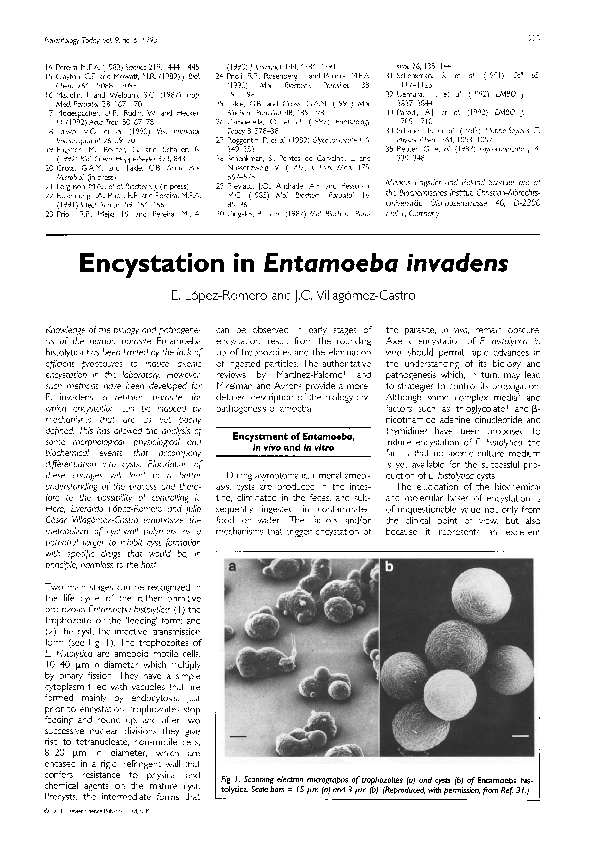 (PDF) Encystation in Entamoeba invadens