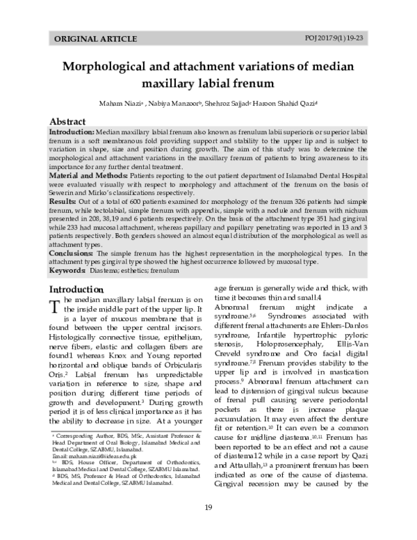 (PDF) Morphological and attachment variations of median maxillary ...