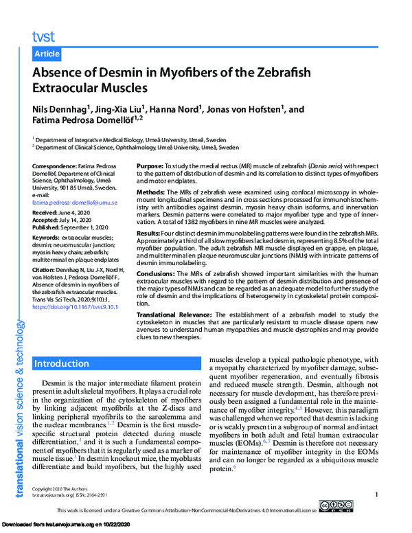 (PDF) Absence of Desmin in Myofibers of the Zebrafish Extraocular Muscles