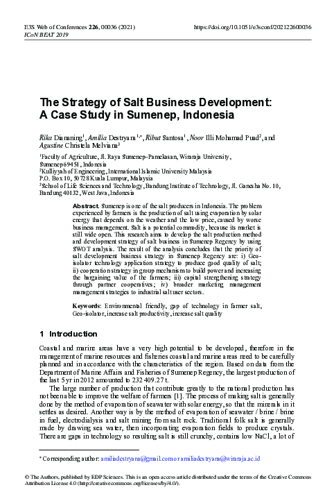 (PDF) The Strategy of Salt Business Development: A Case Study in ...