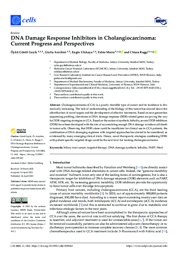 (PDF) DDR Inhibitors and Targeted Therapies in Cholangiocarcinoma