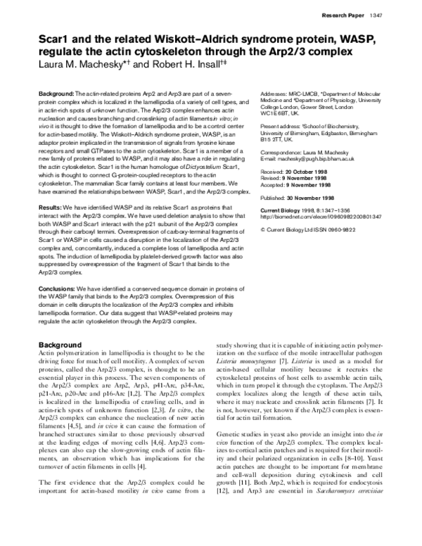 (PDF) Scar1 and the related Wiskott–Aldrich syndrome protein, WASP ...