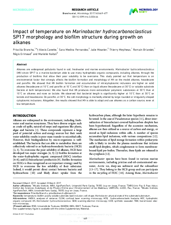 (PDF) Impact of temperature on Marinobacter hydrocarbonoclasticus SP17 ...
