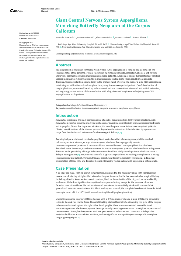 (PDF) Giant Central Nervous System Aspergilloma Mimicking Butterfly ...