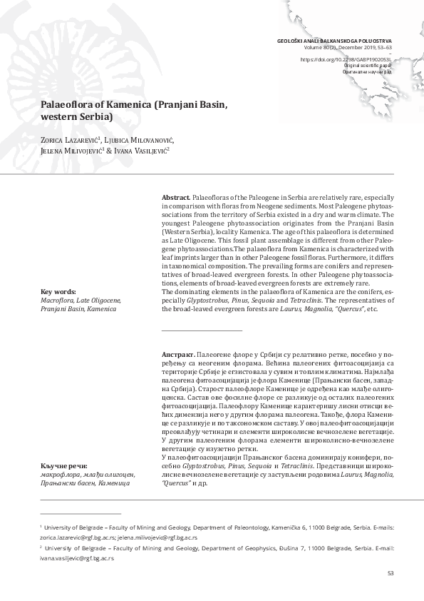 (PDF) Palaeoflora of Kamenica (Pranjani basin, western Serbia)