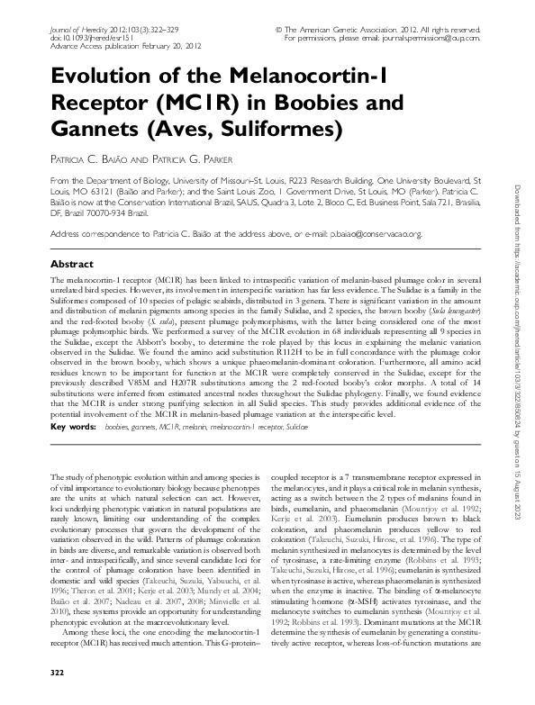 (PDF) Evolution of the Melanocortin-1 Receptor (MC1R) in Boobies and ...