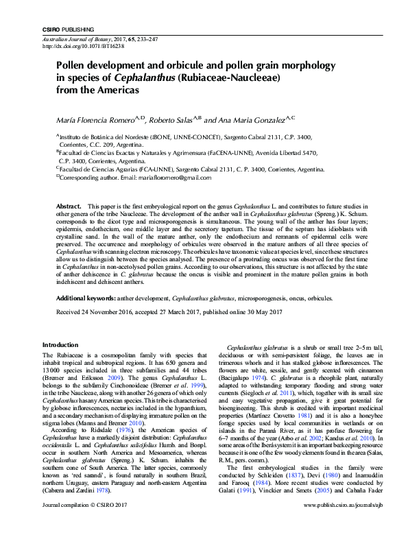 (PDF) Pollen development and orbicule and pollen grain morphology in ...