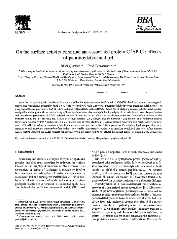 (PDF) On the surface activity of surfactant-associated protein C (SP-C ...