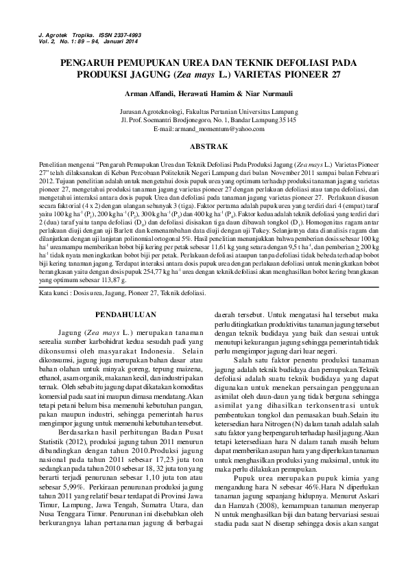(PDF) PENGARUH PEMUPUKAN UREA DAN TEKNIK DEFOLIASI PADA PRODUKSI JAGUNG (Zea mays L.) VARIETAS ...