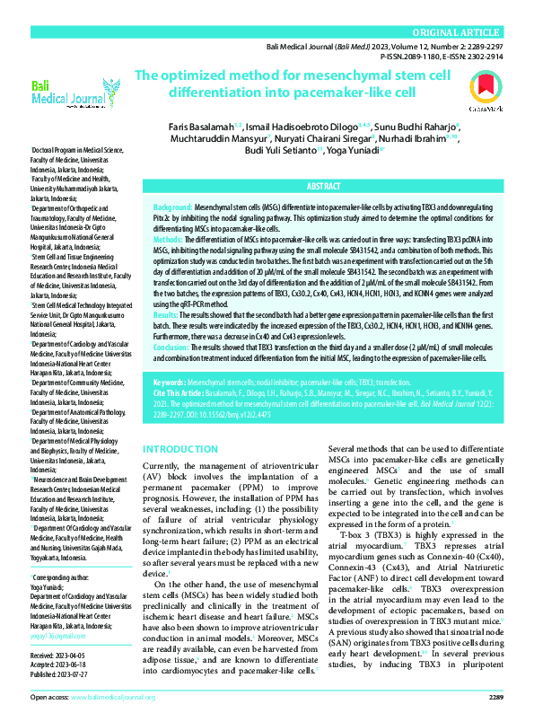 (PDF) The optimized method for mesenchymal stem cell differentiation ...