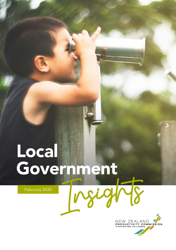 (PDF) Local government insights