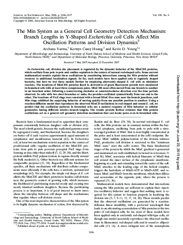 (PDF) The Min System as a General Cell Geometry Detection Mechanism ...