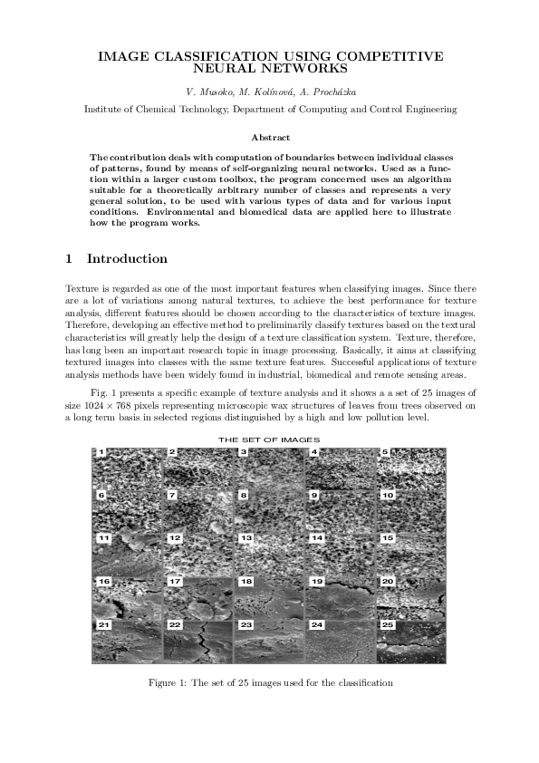 (PDF) Image Classification Using Competitive Neural Networks
