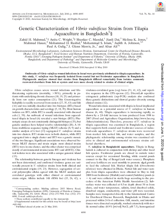 Pdf Genetic Characterization Of Vibrio Vulnificus Strains From