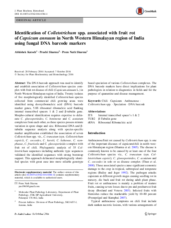 (PDF) Identification of Colletotrichum spp. associated with fruit rot ...