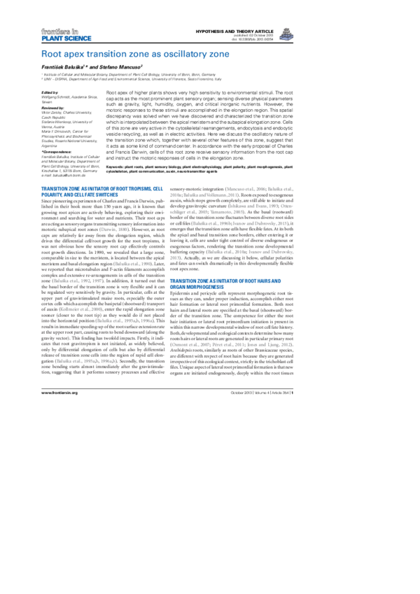 (PDF) Root apex transition zone as oscillatory zone