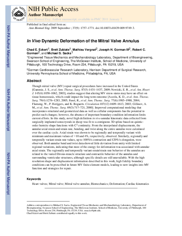 (PDF) Dynamic Mitral Valve Annulus Deformation In Vivo
