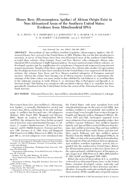 (PDF) Honey Bees (Hymenoptera: Apidae) of African Origin Exist in Non ...