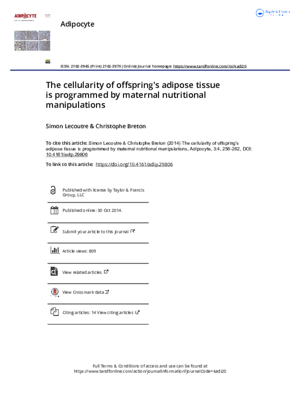 (PDF) The cellularity of offspring's adipose tissue is programmed by ...
