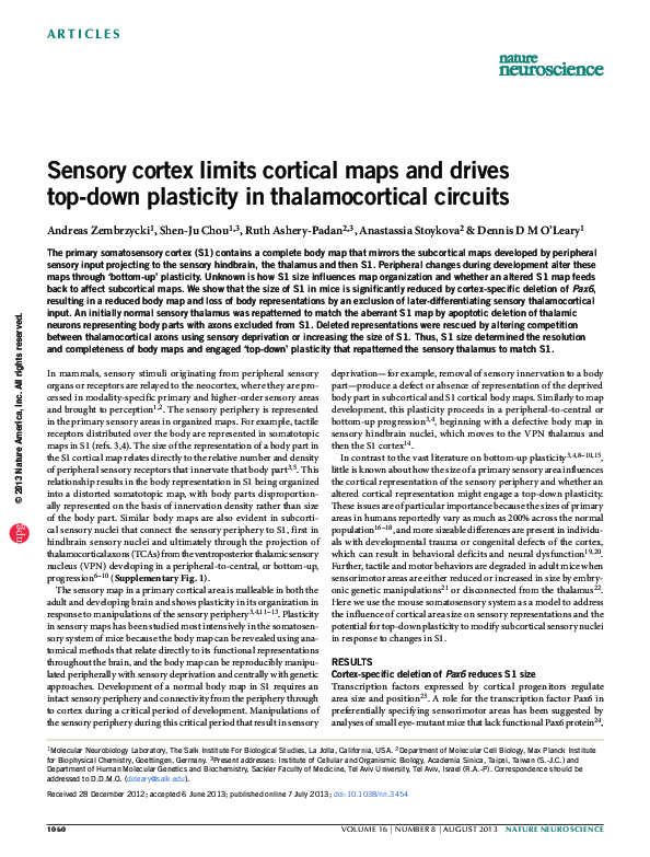 (PDF) Sensory cortex limits cortical maps and drives top-down ...