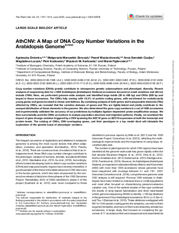Pdf Athcnv A Map Of Dna Copy Number Variations In The Arabidopsis Genome