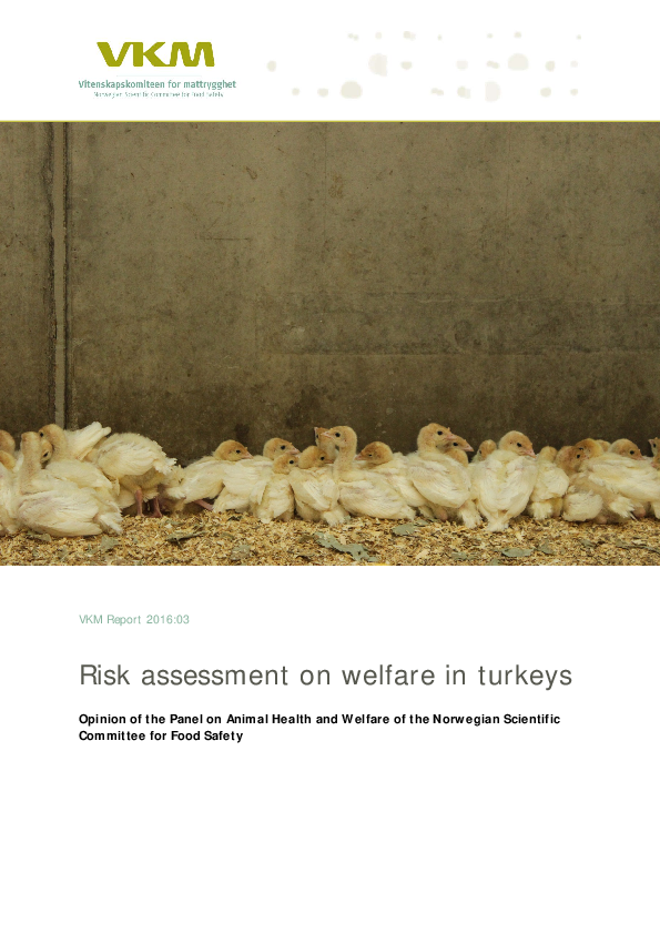 (PDF) Risk assessment on welfare in turkeys. Opinion of the Panel of ...